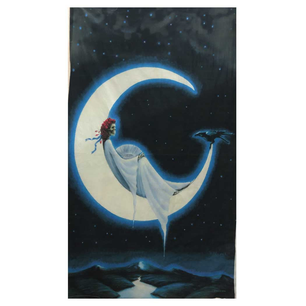 Richard Biffle Sleeper Moon Mini Tapestry 30" x 45" – Excitement